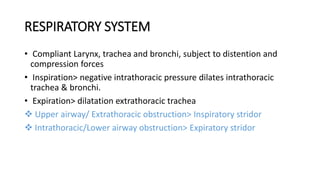 ANATOMICAL AND PHYSIOLOGICAL DIFFERENCES IN PAEDIATRICS.pptx