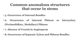 Anatomical anomalies in the primary structure of Dicot.pptx