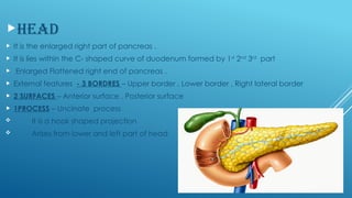 anatomical aspects of madhumeha ( pancreas).pptx