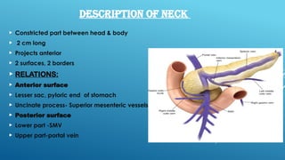 anatomical aspects of madhumeha ( pancreas).pptx