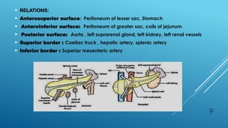 anatomical aspects of madhumeha ( pancreas).pptx