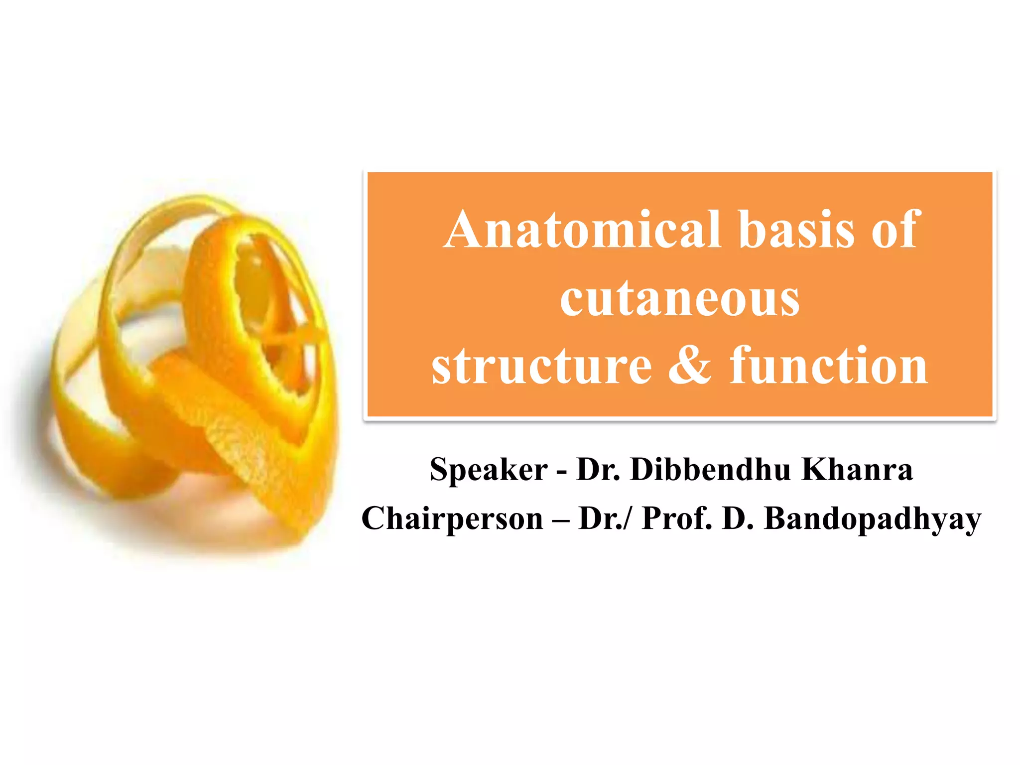 Anatomical basis of cutaneous structure and function, presented at CMC ...