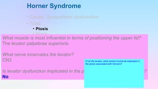 Anatomical basis of Horner’s syndrome.pptx