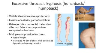 Anatomical basis of common back problems | PPT