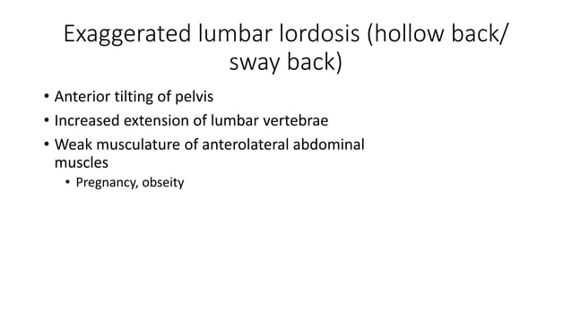 Anatomical basis of common back problems | PPT