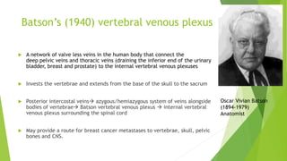 Anatomical basis of spread of breast carcinoma | PPTX
