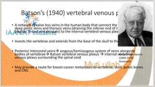 Anatomical basis of spread of breast carcinoma | PPTX | Death, Injury ...