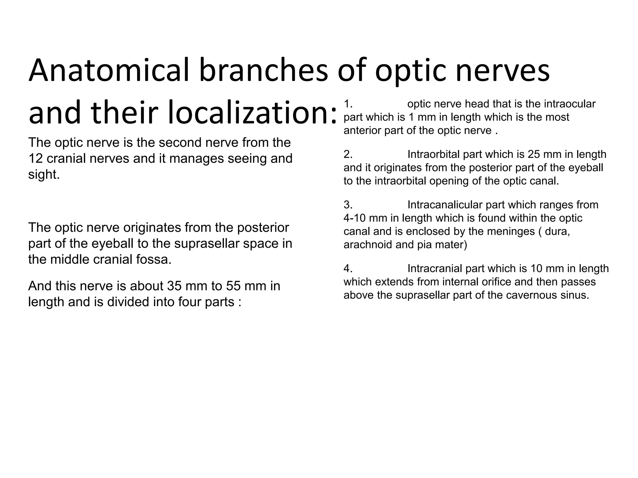 Anatomical branches of the cranial nerves and their localization.pptx