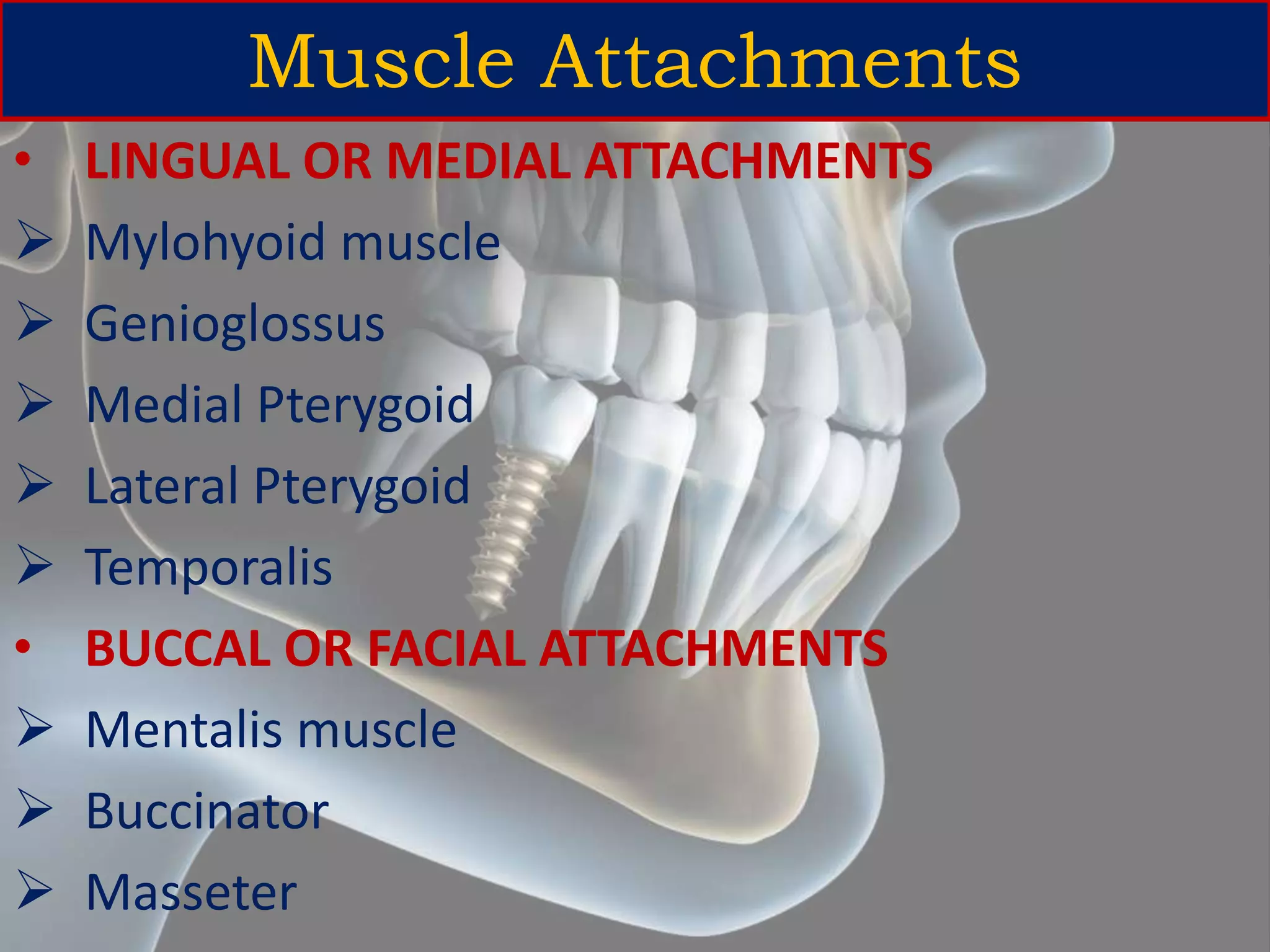 Anatomical considerations for dental implants | PPTX