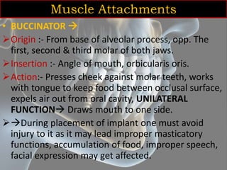 Anatomical considerations for dental implants | PPTX