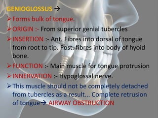 Anatomical considerations for dental implants | PPTX