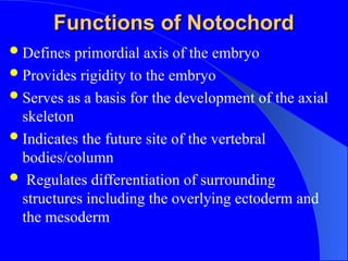 ANATOMICAL DESCRIPTION OF DERIVATIVES OF GERM LAYERS.ppt