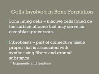ANATOMICAL DESCRIPTION OF OSSIFICATION.pptx