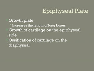 ANATOMICAL DESCRIPTION OF OSSIFICATION.pptx