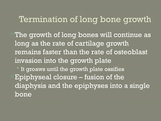 ANATOMICAL DESCRIPTION OF OSSIFICATION.pptx