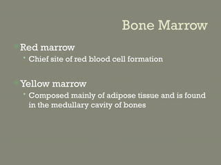 ANATOMICAL DESCRIPTION OF OSSIFICATION.pptx