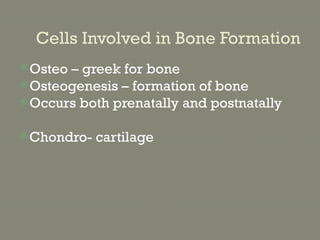 ANATOMICAL DESCRIPTION OF OSSIFICATION.pptx