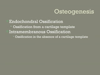 ANATOMICAL DESCRIPTION OF OSSIFICATION.pptx