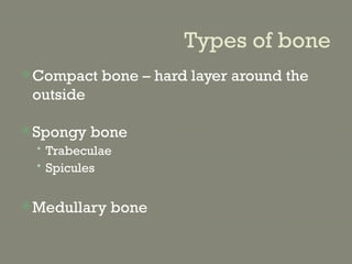 ANATOMICAL DESCRIPTION OF OSSIFICATION.pptx