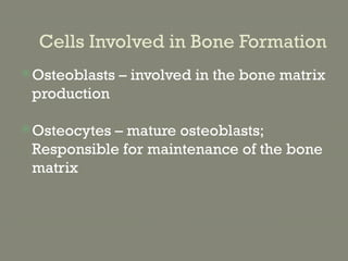 ANATOMICAL DESCRIPTION OF OSSIFICATION.pptx