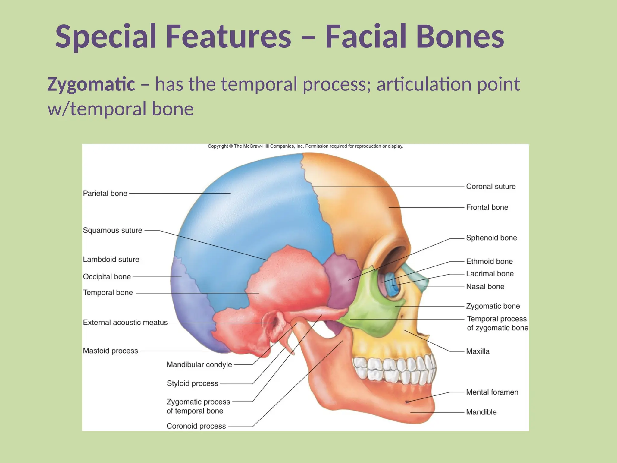 ANATOMICAL DETAILS OF CRANIAL BONES WITH VARIATIONS.ppt