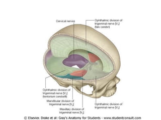 ANATOMICAL DETAILS OF DURAL VENOUS SINUSES WITH VARIATIONS.pptx