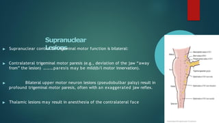 ANATOMICAL DETAILS OF TRIGEMINAL NERVE WITH CLINICAL CORRELATES.pptx