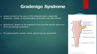 ANATOMICAL DETAILS OF TRIGEMINAL NERVE WITH CLINICAL CORRELATES.pptx