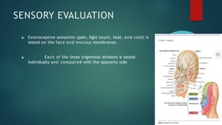 ANATOMICAL DETAILS OF TRIGEMINAL NERVE WITH CLINICAL CORRELATES.pptx