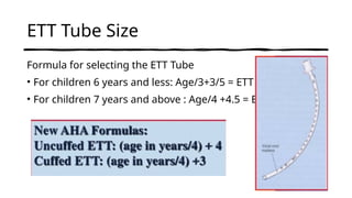 Anatomical Differences Between Adult and Pediatric Airway and.pptx