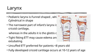 Anatomical Differences Between Adult and Pediatric Airway and.pptx
