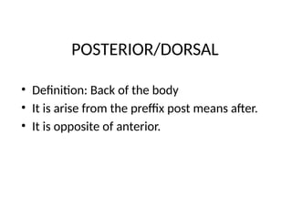 ANATOMICAL DIRECTIONAL TERMS. pptx | PPT