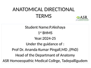 ANATOMICAL DIRECTIONAL TERMS. pptx | PPT