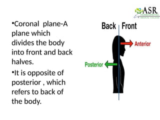 ANATOMICAL DIRECTIONAL TERMS. pptx | PPTX