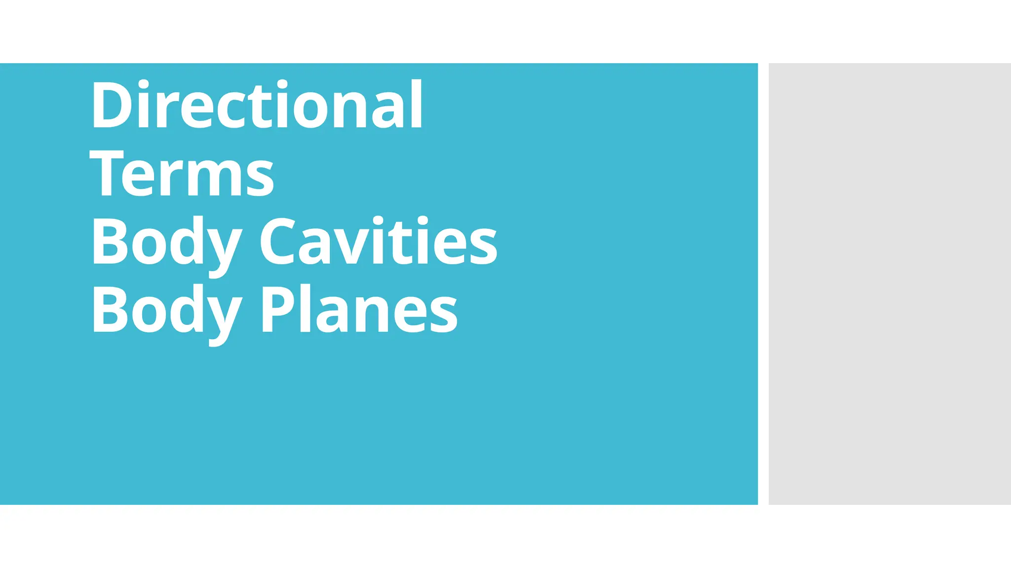 AnatomicalDirectionalTermsBodyPlanesCavitiesPositionsPowerPoint.pptx