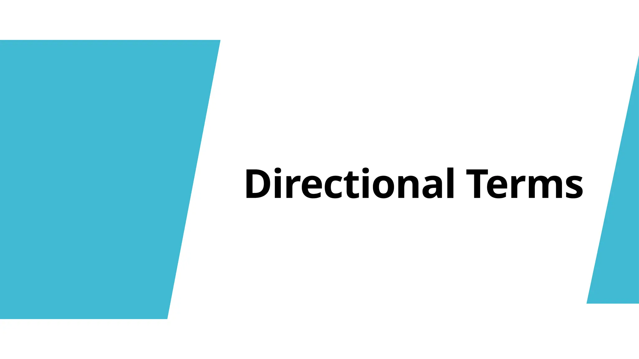 AnatomicalDirectionalTermsBodyPlanesCavitiesPositionsPowerPoint.pptx