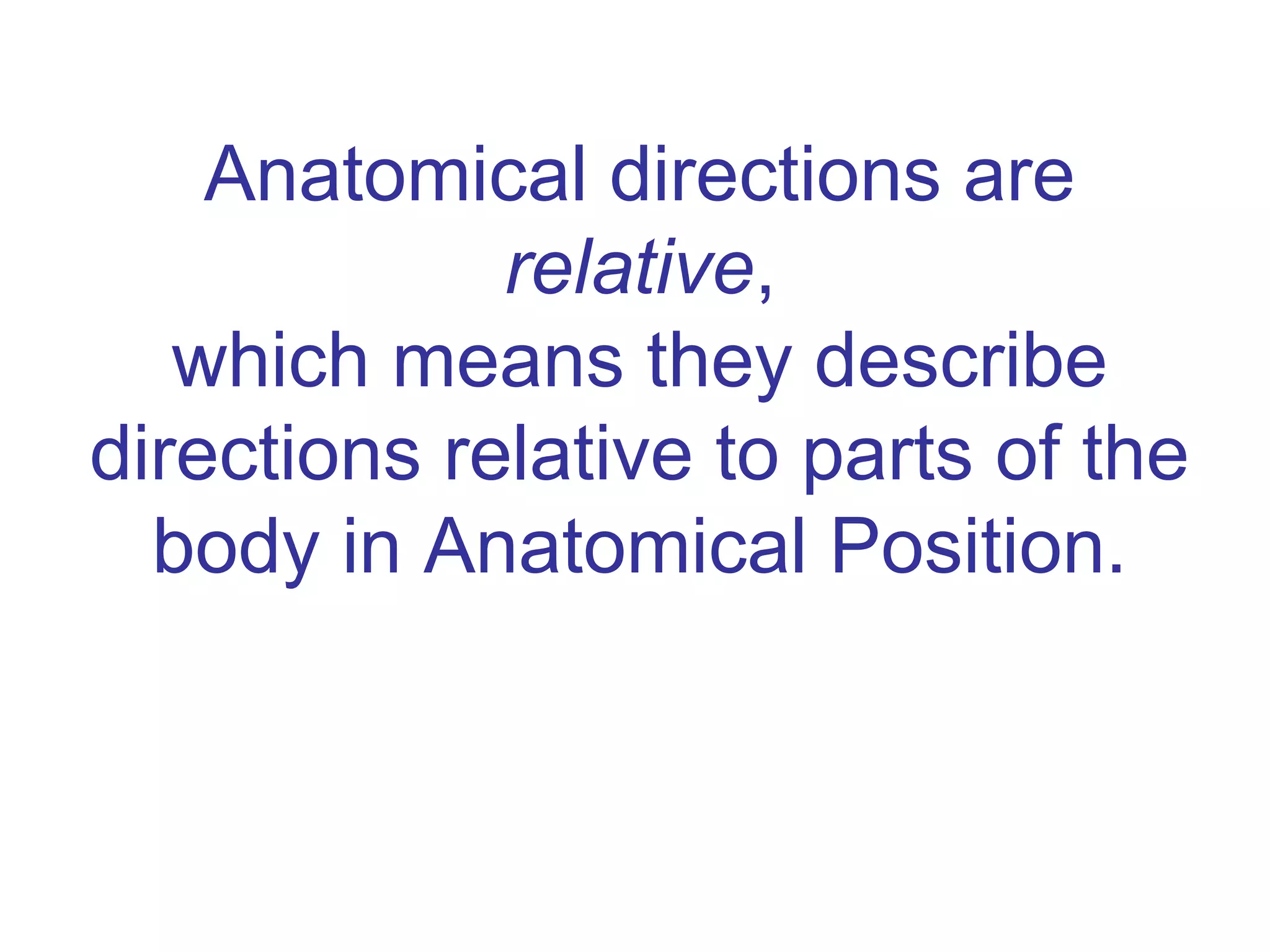 Anatomical directions | PPT