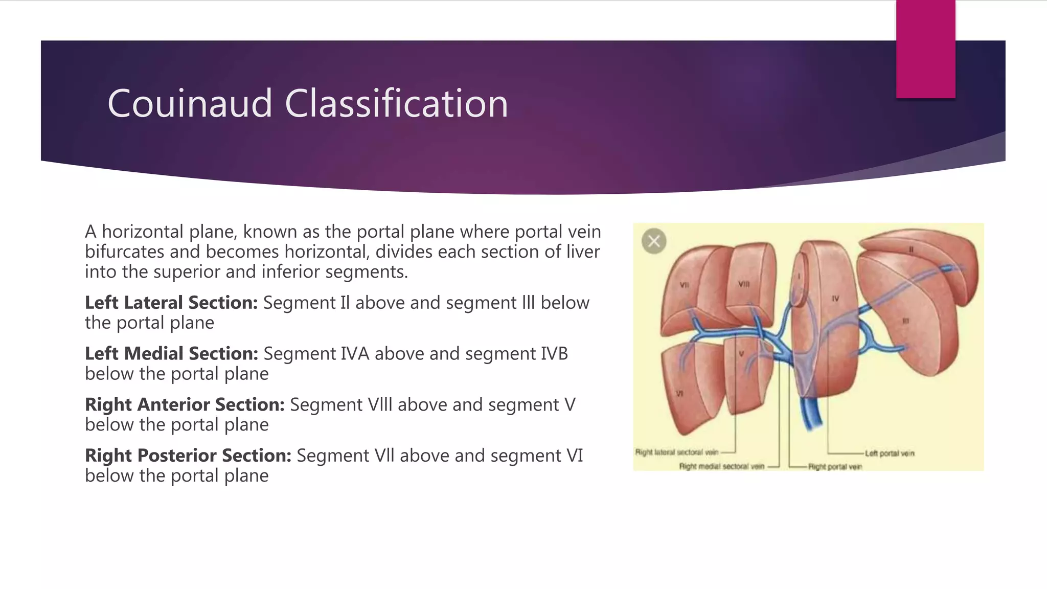Anatomical division of liver | PPTX