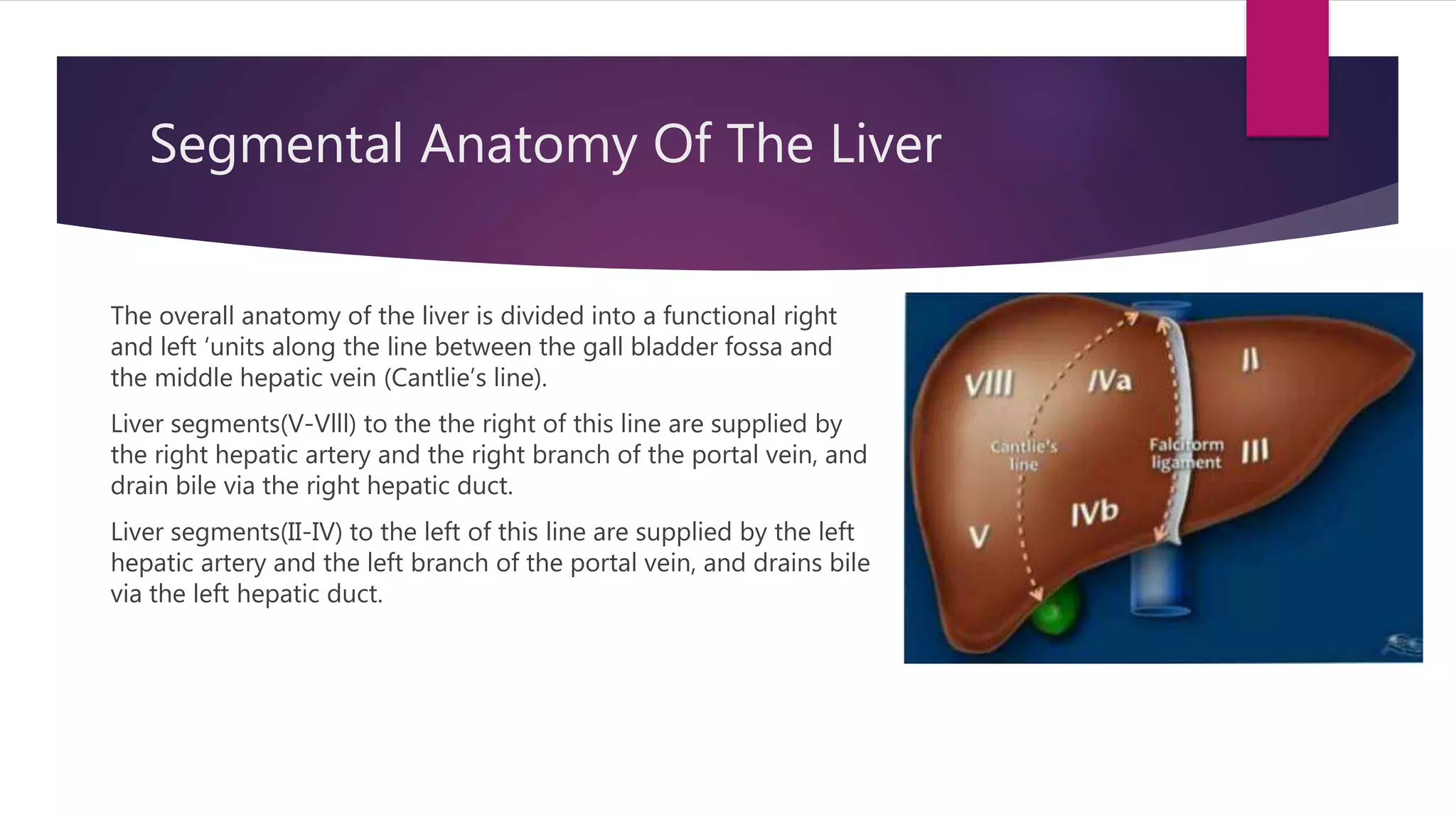 Anatomical division of liver | PPTX