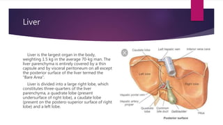 Anatomical division of liver | PPTX