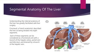 Anatomical division of liver | PPTX