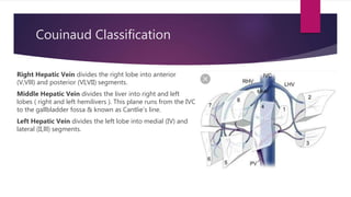 Anatomical division of liver | PPTX