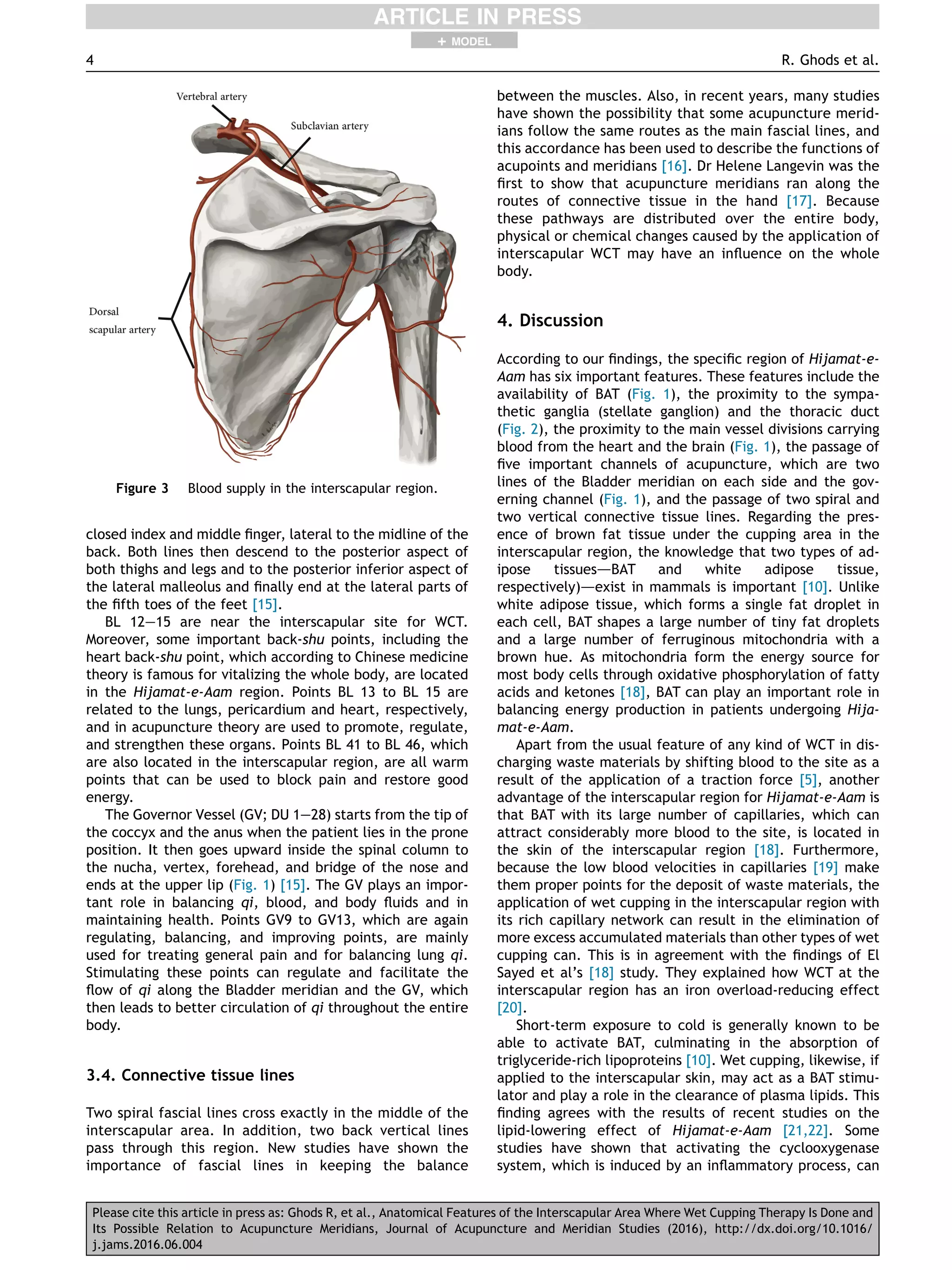 Anatomical features of the interscapular | PDF