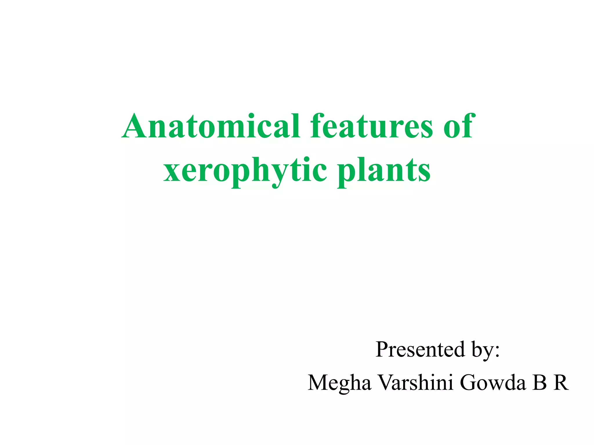 Anatomical features of xerophytic plants | PPTX