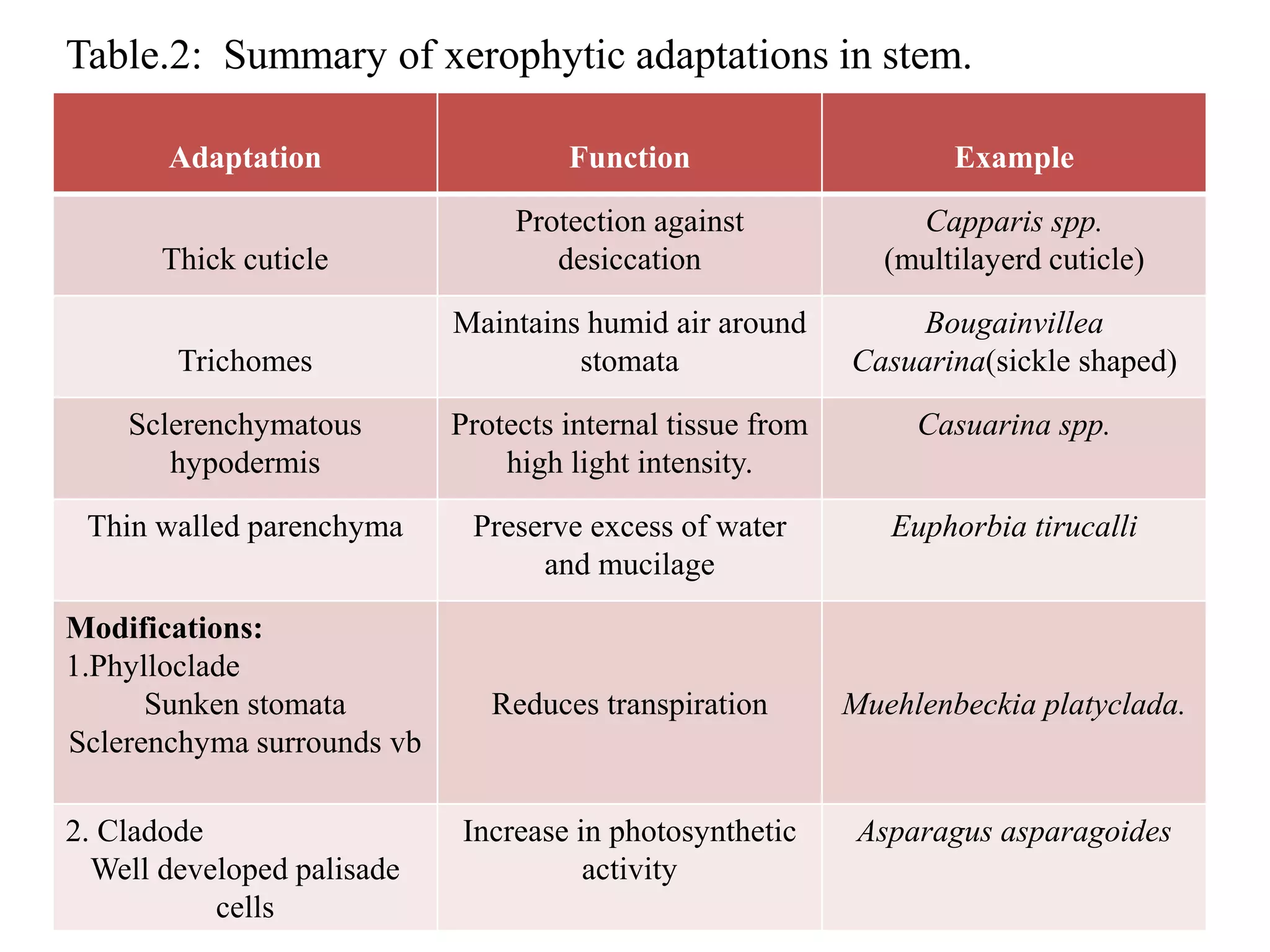 Anatomical features of xerophytic plants | PPTX