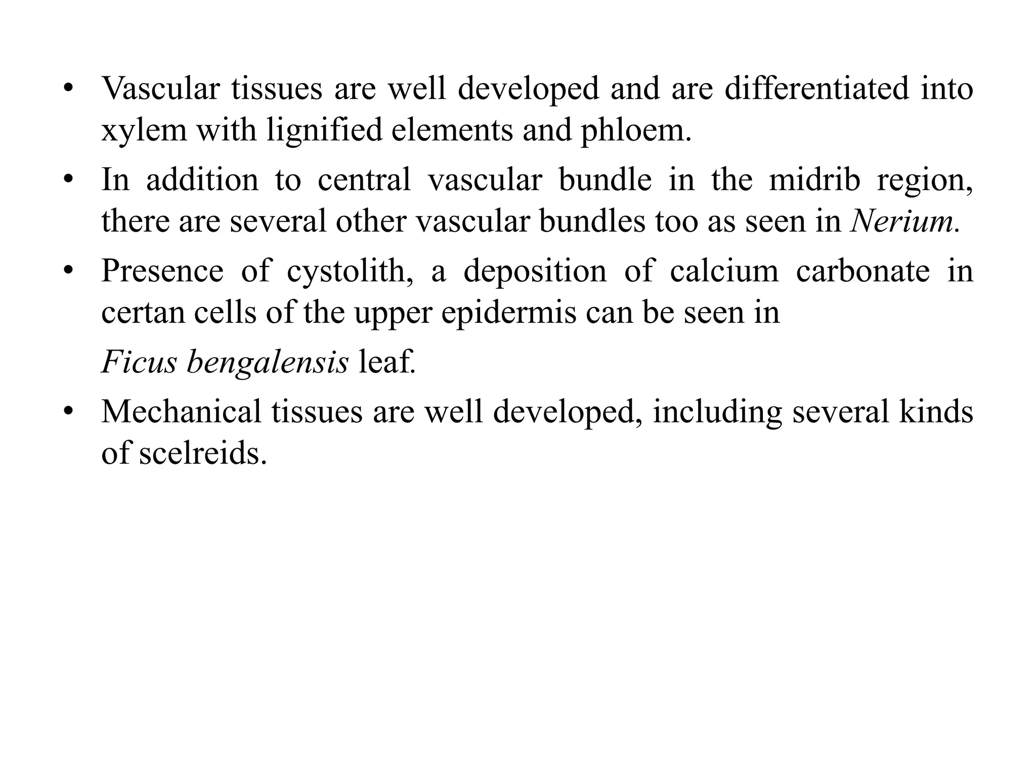 Anatomical features of xerophytic plants | PPTX