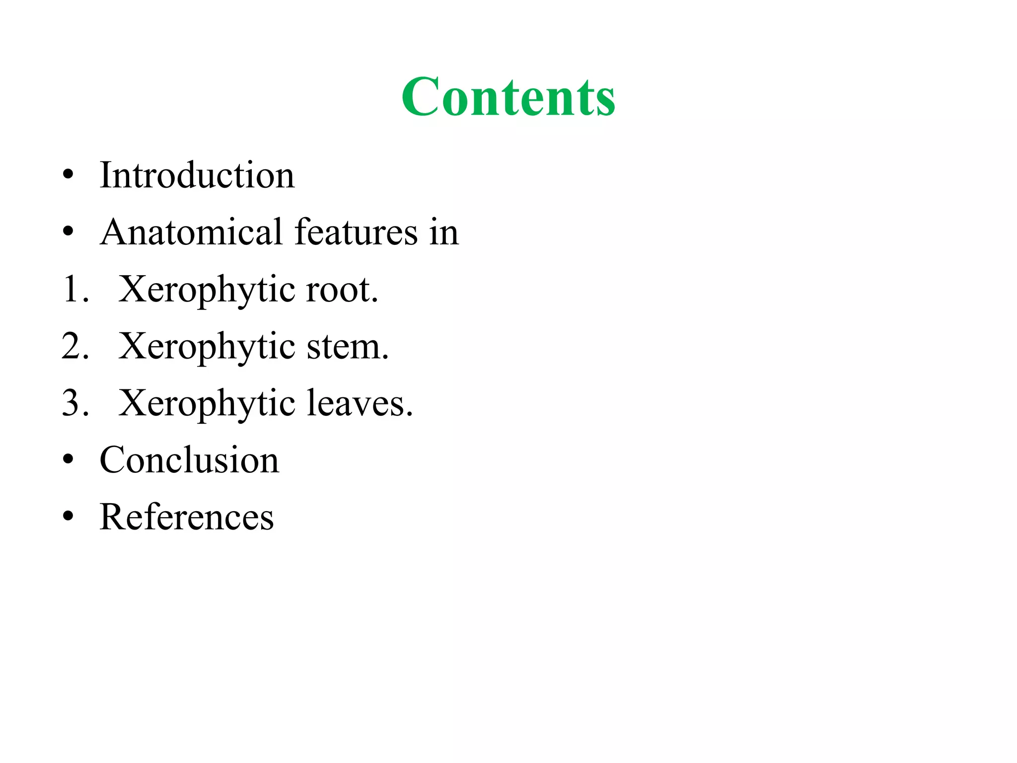 Anatomical features of xerophytic plants | PPTX