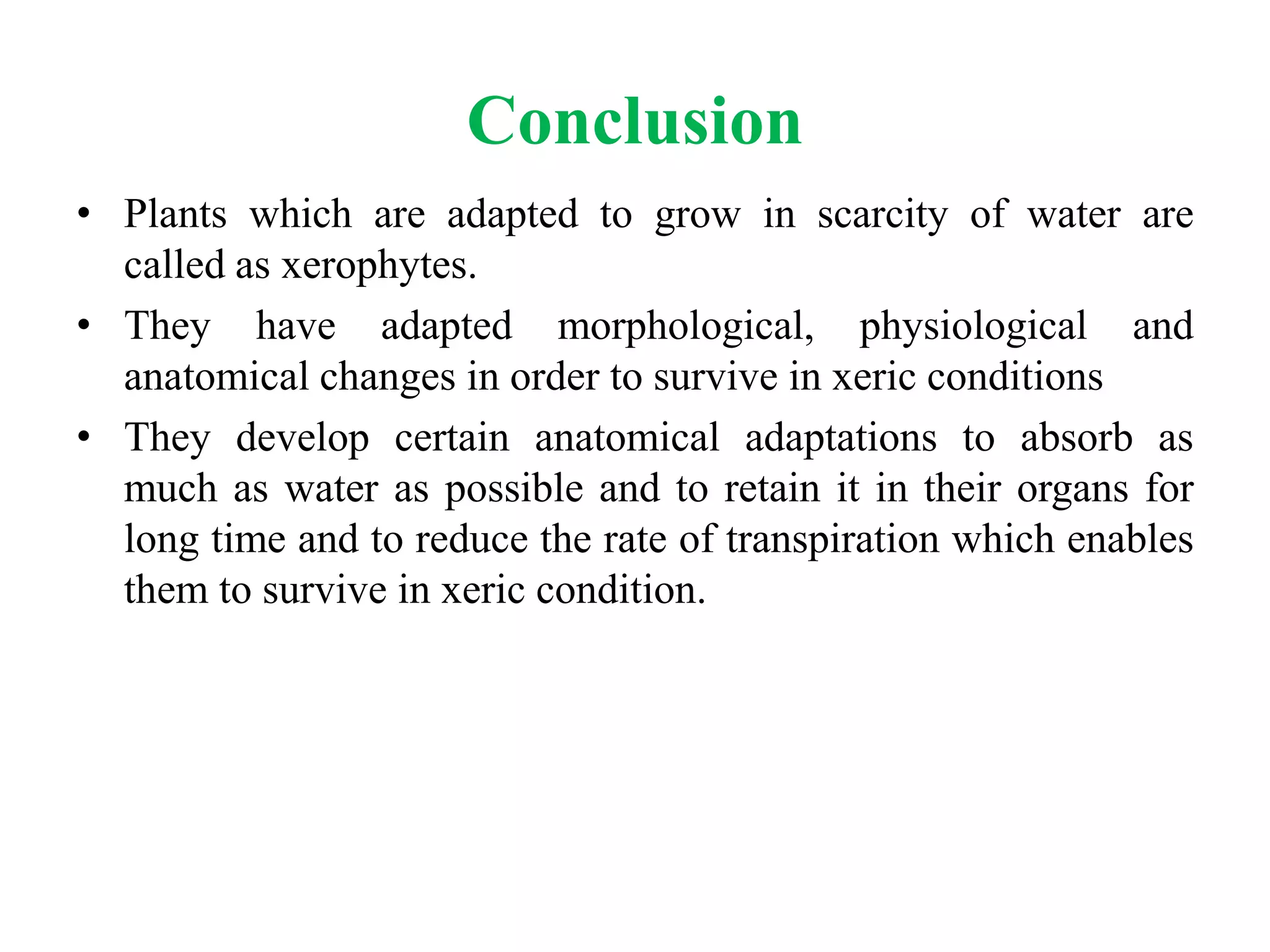 Anatomical features of xerophytic plants | PPTX