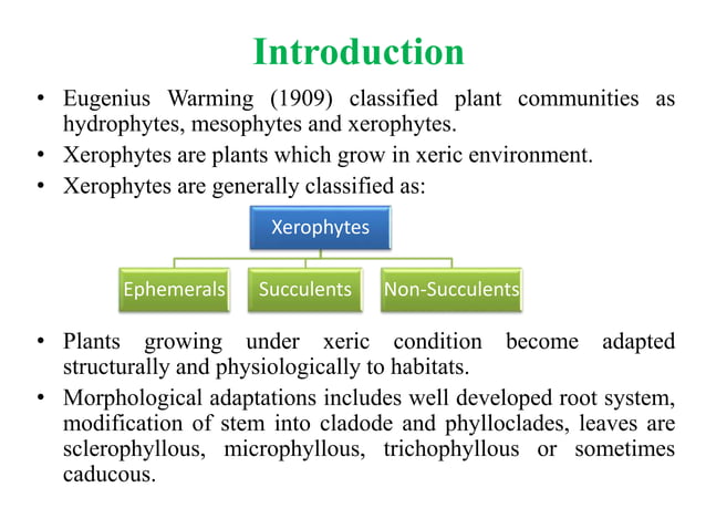 Anatomical features of xerophytic plants | PPTX | Gardening | Home & Garden