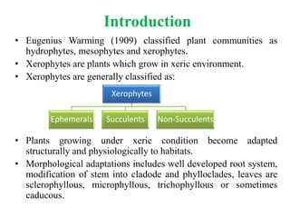 Xerophytes Mesophytes Hydrophytes